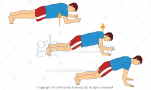 4 Home Workouts in Just 7 Minutes a Day includes 12 Home Exercises