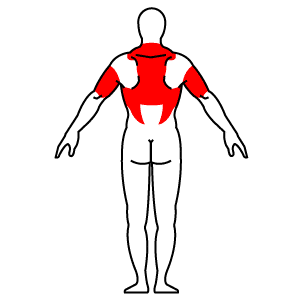 Kettlebell Renegade Row with 5 Progressions and Variations